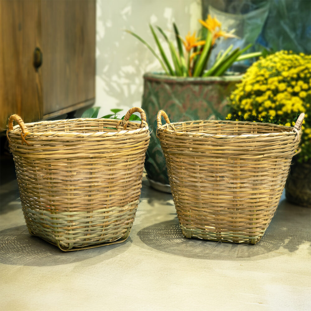 Ikachi Gift US - Creative Gift Solutions